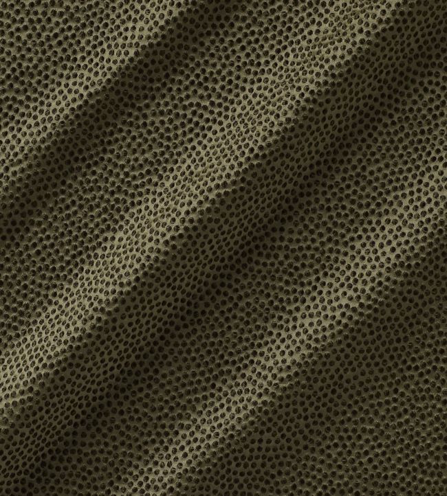 Shagreen Silk Fabric by James Hare in Dapple | Jane Clayton