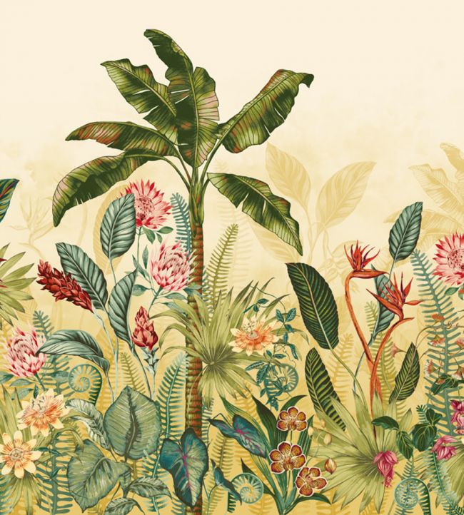 Jangala Wallpaper Mural in Sahara by Ohpopsi | Jane Clayton