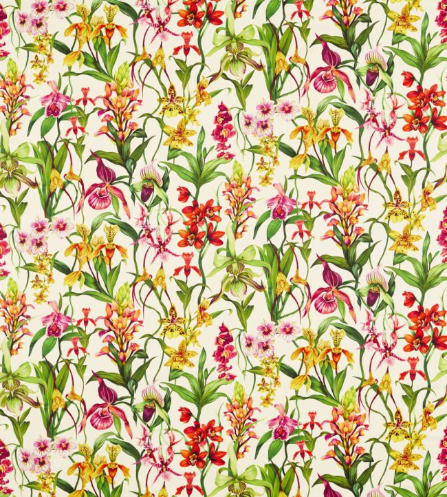 Kalina Fabric in Parchment / Forest / Azalea by Harlequin | Jane Clayton