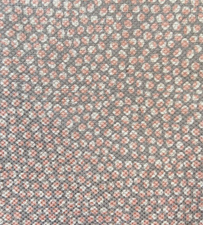Kernel Fabric in Pink by Juliet Travers | Jane Clayton