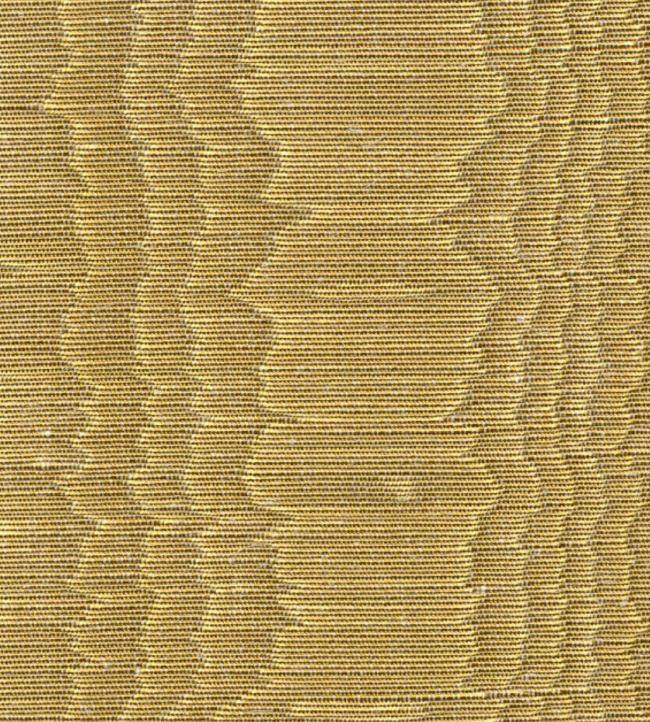Misa Moire Plain Fabric by Marvic in Ochre | Jane Clayton