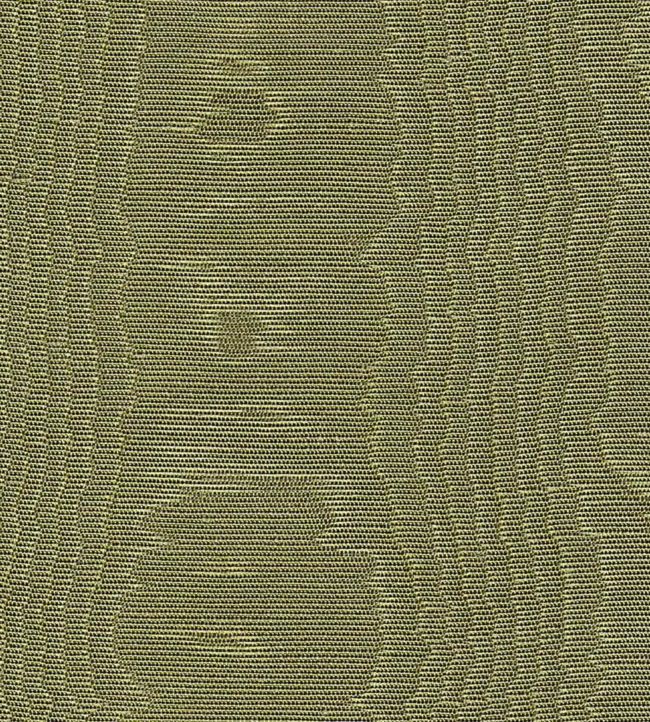 Misa Moire Plain Fabric by Marvic in Fern | Jane Clayton