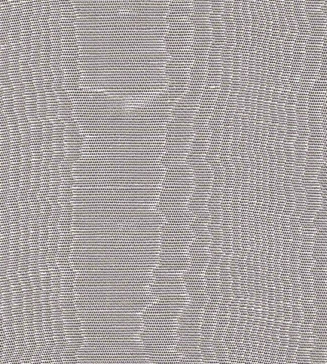 Misa Moire Plain Fabric by Marvic in Grey | Jane Clayton