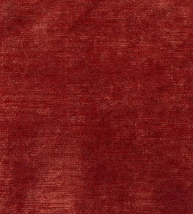 Salsa Fabric by Matthew Williamson in Dark Coral | Jane Clayton