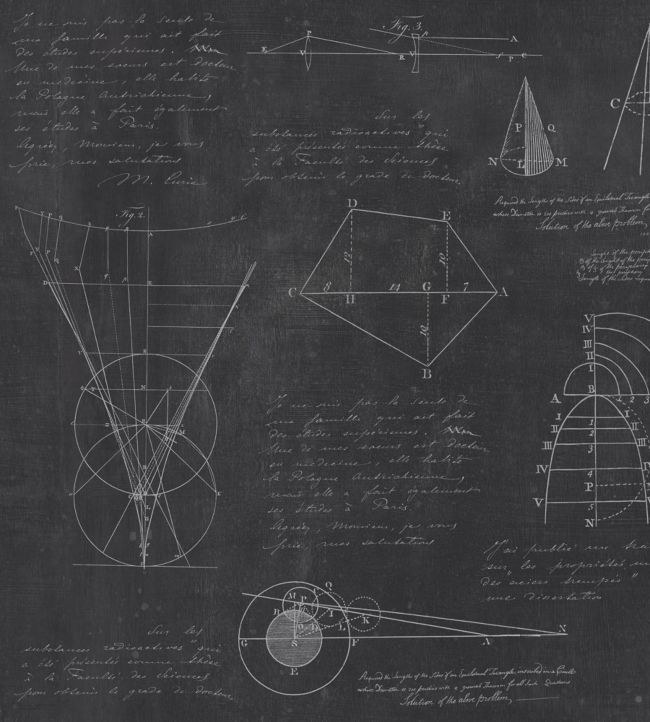 Newton Geometry Wallpaper in Mono by MINDTHEGAP | Jane Clayton