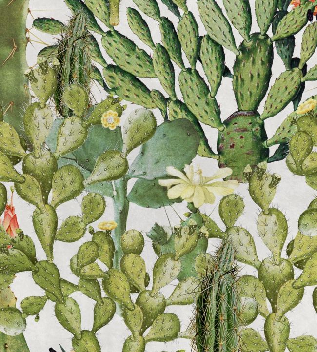 Opuntia Wallpaper in Green by MINDTHEGAP | Jane Clayton
