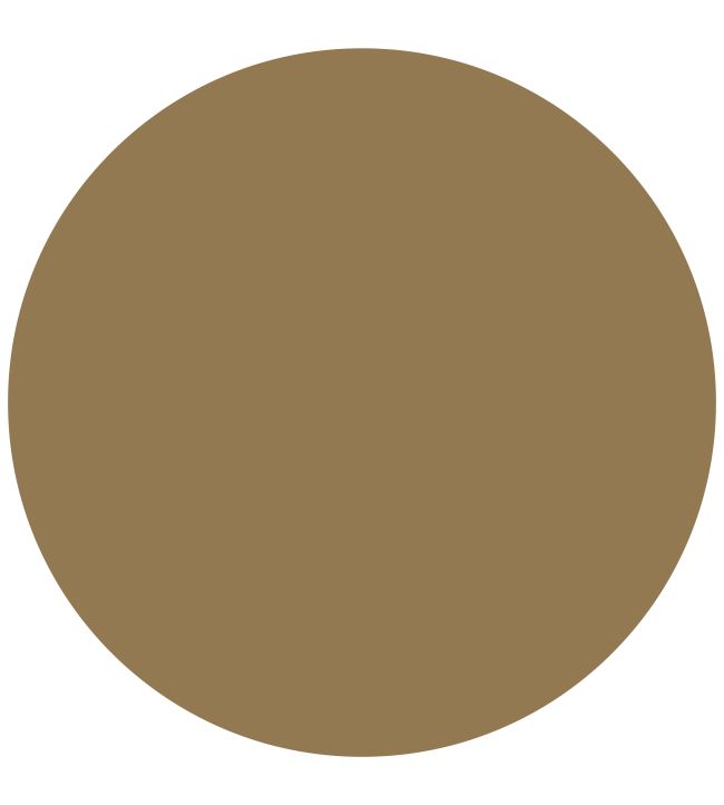 Zoffany Muddy Amber Elite Emulsion Paint | Jane Clayton