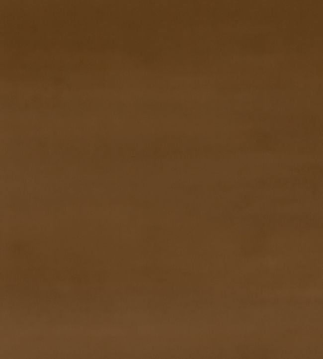 Mulberry Velvet Fabric in Mole by Mulberry Home | Jane Clayton