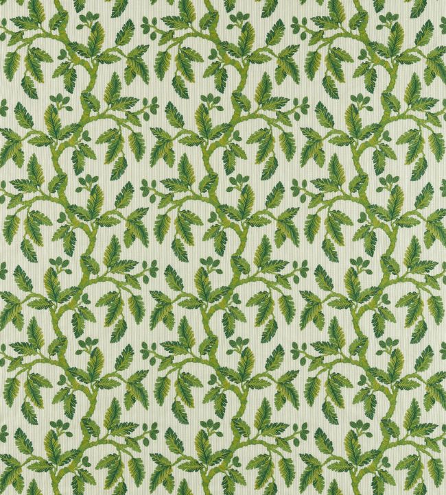 Oaknut Stripe Fabric in Botanical Green by Sanderson | Jane Clayton