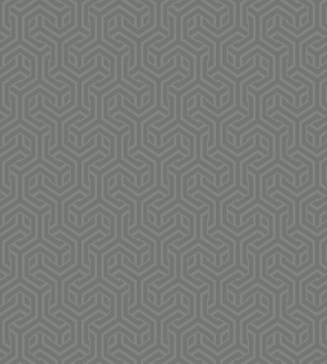 Opus Wallpaper in Charcoal by Arley House | Jane Clayton