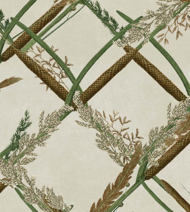 Ornamental Reed Wallpaper in Neutral by MINDTHEGAP | Jane Clayton