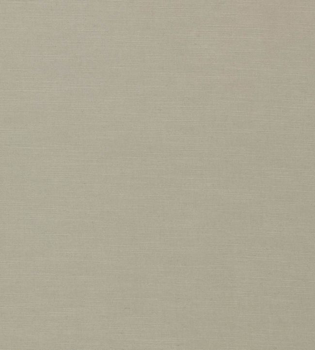 Paradiso Fabric in Dove by Clarke & Clarke | Jane Clayton