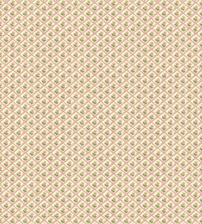 Penny Wallpaper in Blush by GP & J Baker | Jane Clayton