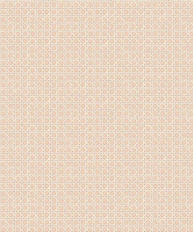 Petit Rattan Wallpaper in 09 Blush by Madeaux | Jane Clayton
