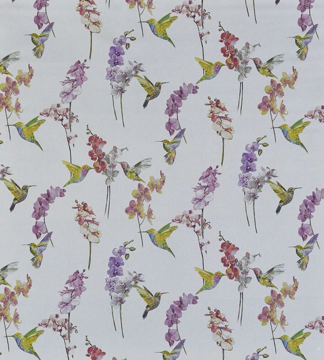 Humming Bird Fabric by Prestigious Textiles in Blossom | Jane Clayton