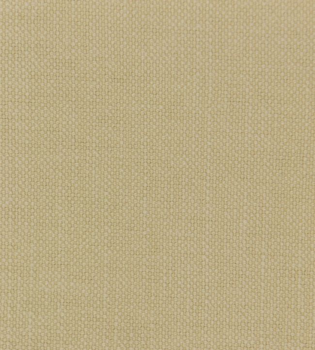 Linara Fabric by Romo in Butterbean | Jane Clayton