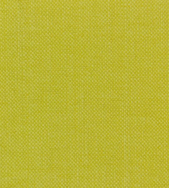 Linara Fabric by Romo in Zest | Jane Clayton