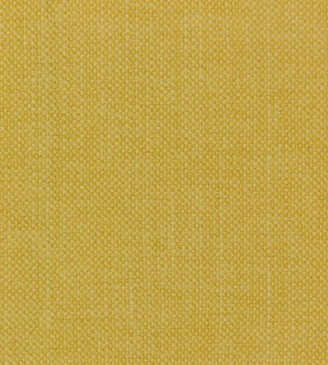 Linara Fabric by Romo in Amber | Jane Clayton