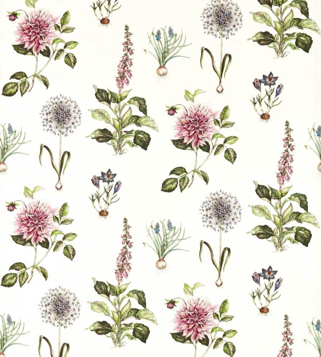Roseraie Fabric in Summer by Clarke & Clarke | Jane Clayton