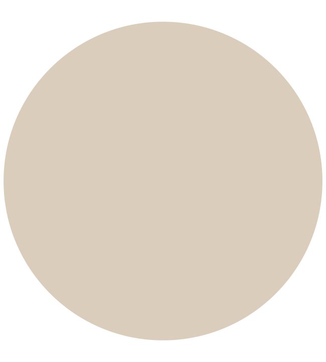 Sanderson Sand Tan Active Emulsion Paint | Jane Clayton