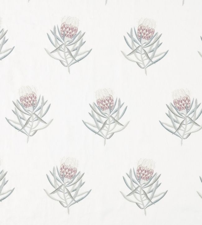 Protea Flower Fabric in Porcelain / Orchid by Sanderson | Jane Clayton