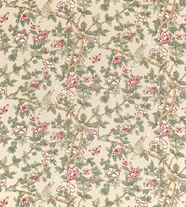 Caverley Fabric in Rose/Pewter by Sanderson | Jane Clayton