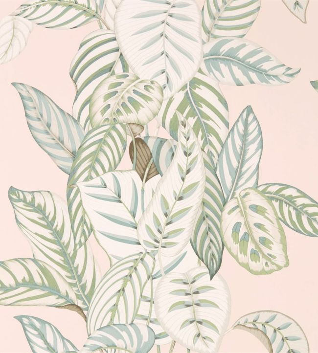 Calathea Wallpaper in Orchid/Eucalyptus by Sanderson | Jane Clayton