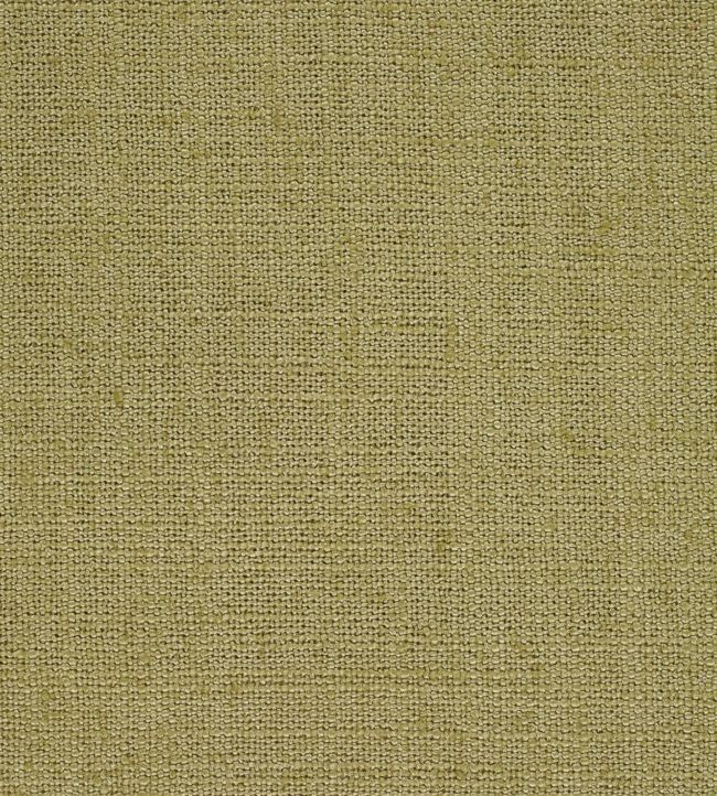 Lagom Fabric in Leek by Sanderson | Jane Clayton