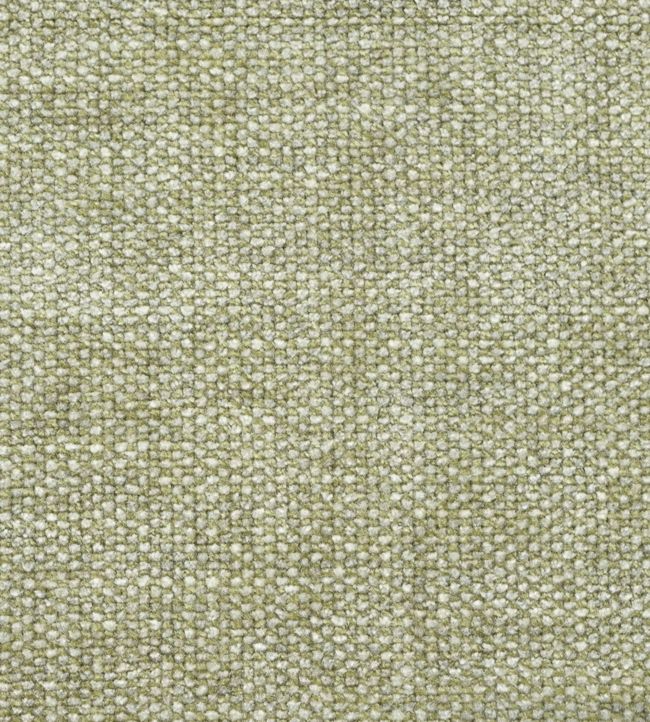 Moorbank Fabric in Willow by Sanderson | Jane Clayton