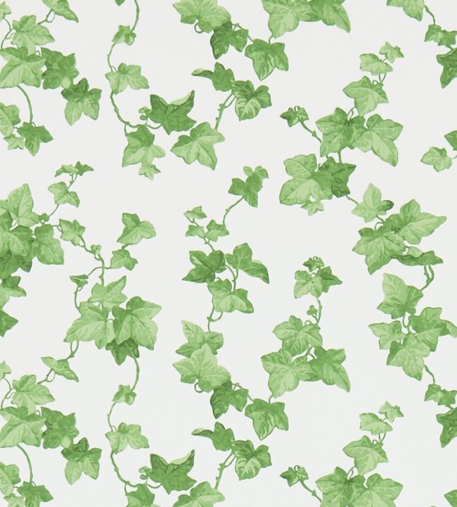 Hedera Wallpaper in Green by Sanderson | Jane Clayton