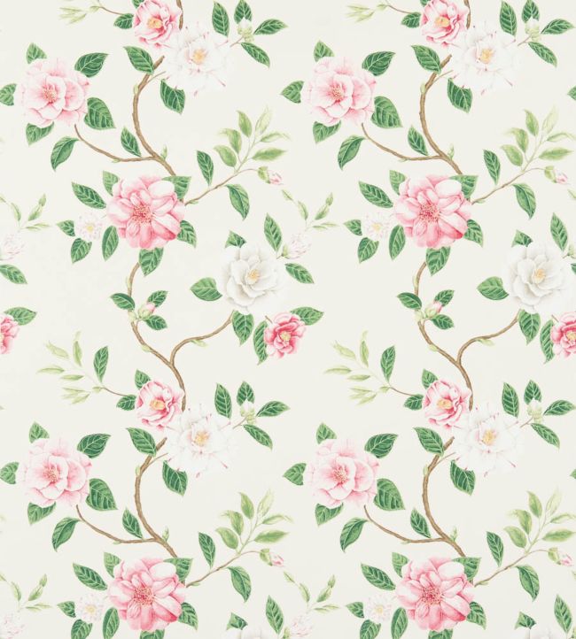 Christabel Fabric in Coral/Ivory by Sanderson | Jane Clayton