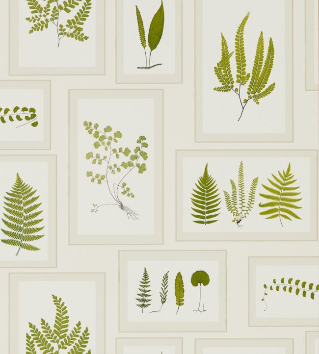 Fern Gallery Wallpaper in Ivory/Green by Sanderson | Jane Clayton