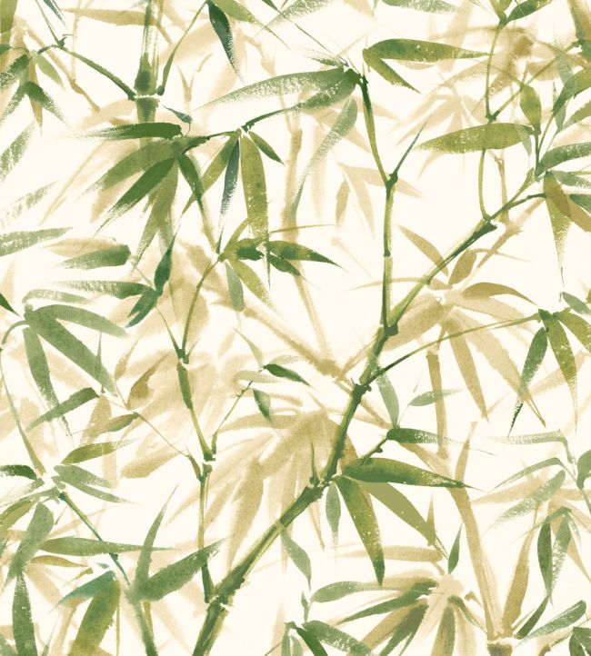 Shadow Bamboo Wallpaper in Willow by Ohpopsi | Jane Clayton