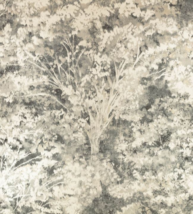 Sikora Wallpaper in Charcoal by Romo | Jane Clayton