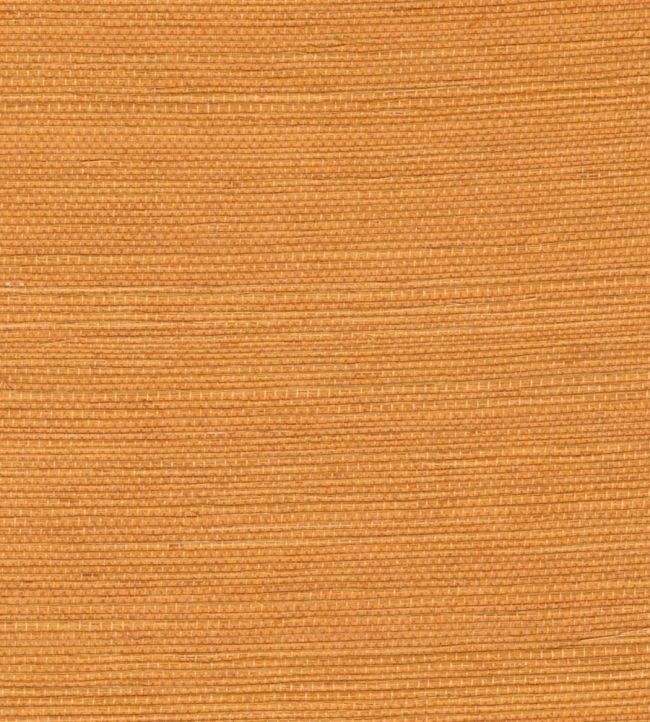 Sisal Wallpaper in Doree au soleil by Elitis | Jane Clayton
