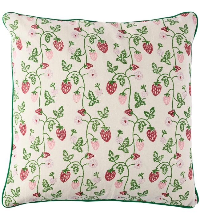 Strawberry Grass Seed Ready Made Cushions in Iron by Molly Mahon | Jane ...