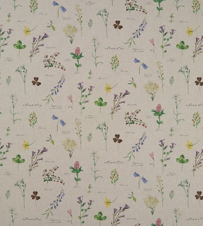 Nerium Fabric by Studio G in Linen | Jane Clayton