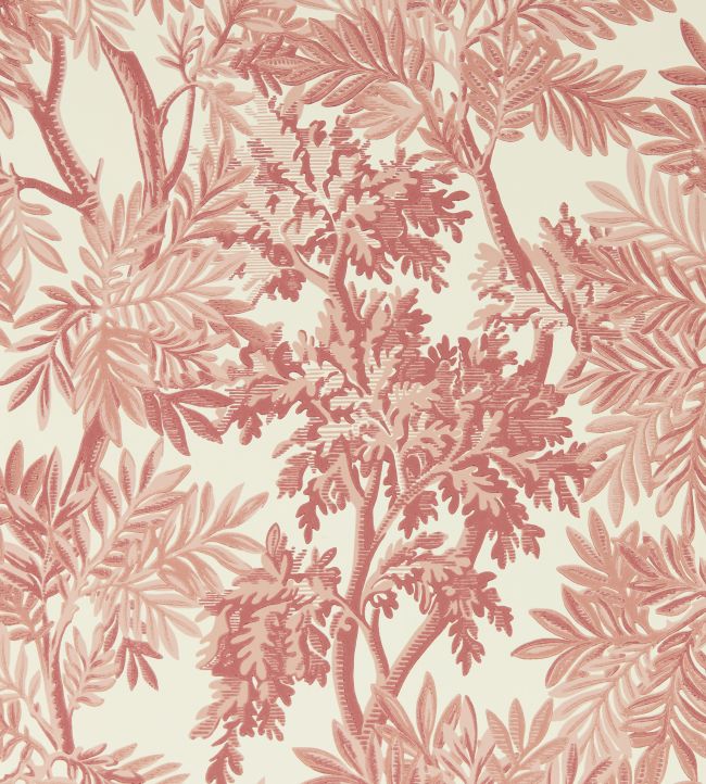 Tapestry Trees Wallpaper in Berry/Pink Clay by Sanderson | Jane Clayton