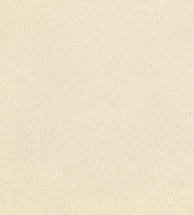 Teddy FR Fabric in Cream by Kirkby Design | Jane Clayton