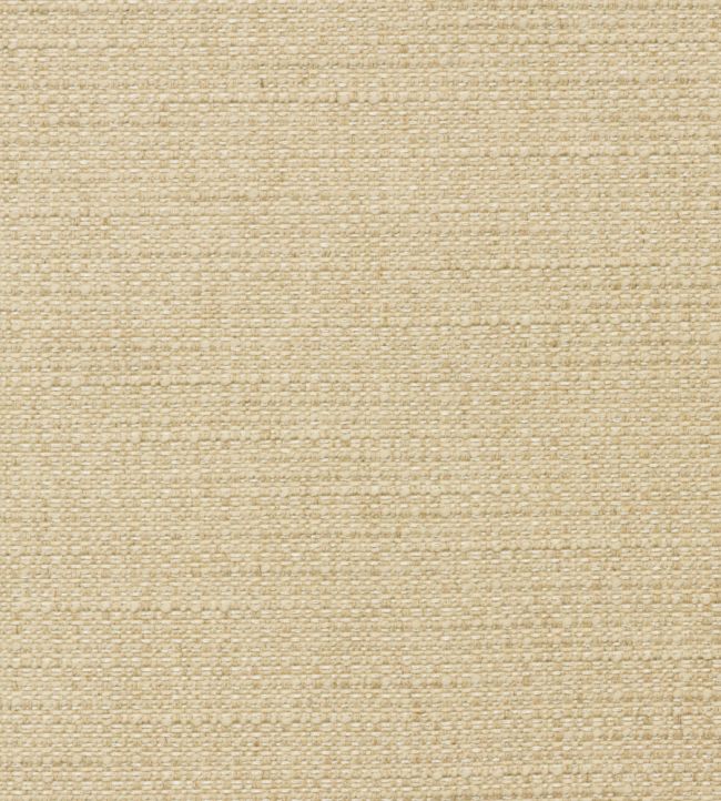 Tender Fabric in Rope by Andrew Martin | Jane Clayton