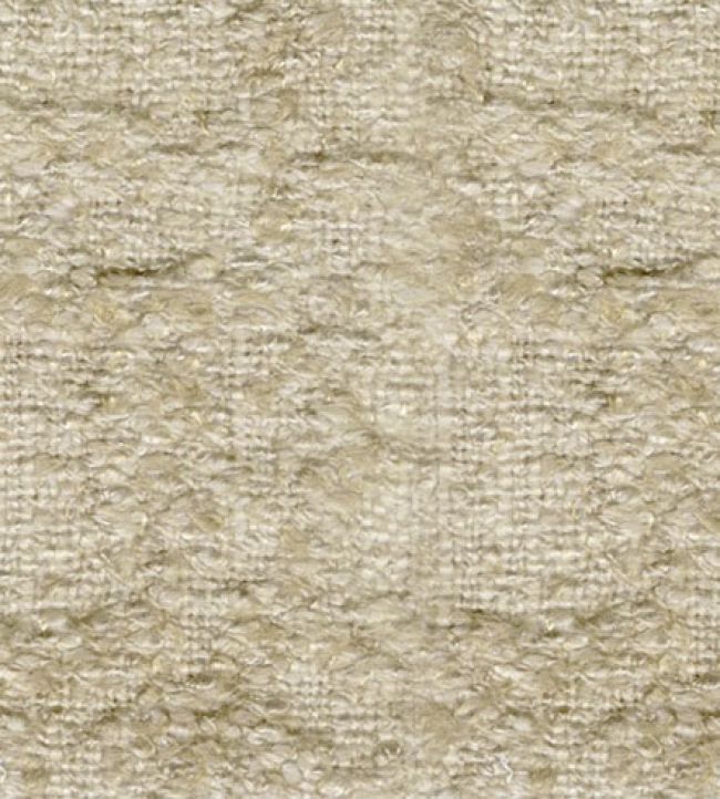 Thar Fabric in Taupe by JORO | Jane Clayton