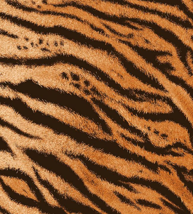Tiger Fabric in Savanna by Arley House | Jane Clayton