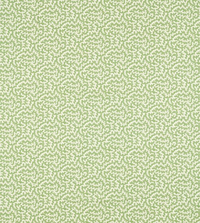 Truffle Fabric in Sap Green by Sanderson | Jane Clayton