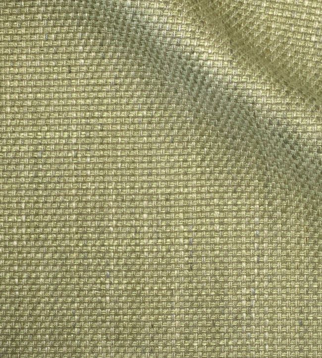 Umi Fabric in Pear by Ian Sanderson | Jane Clayton