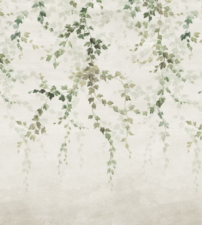 Vine Shadow Wallpaper mural in Green by Coordonne | Jane Clayton
