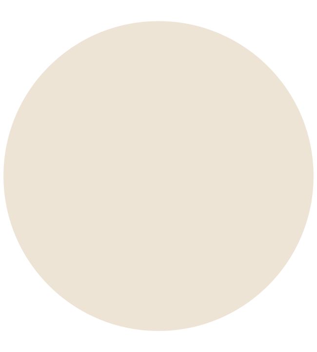 Zoffany Warm White Elite Emulsion Paint | Jane Clayton