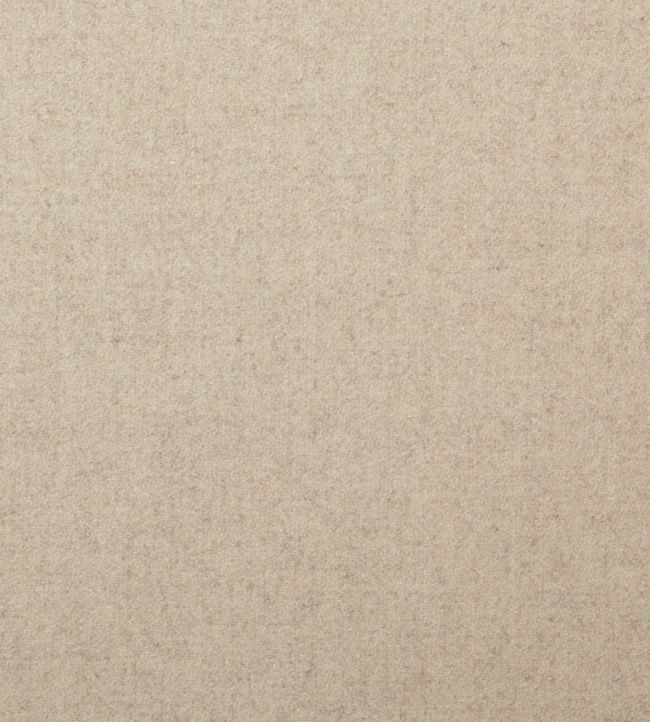 Amatheon FR Fabric by Warwick in WISP | Jane Clayton