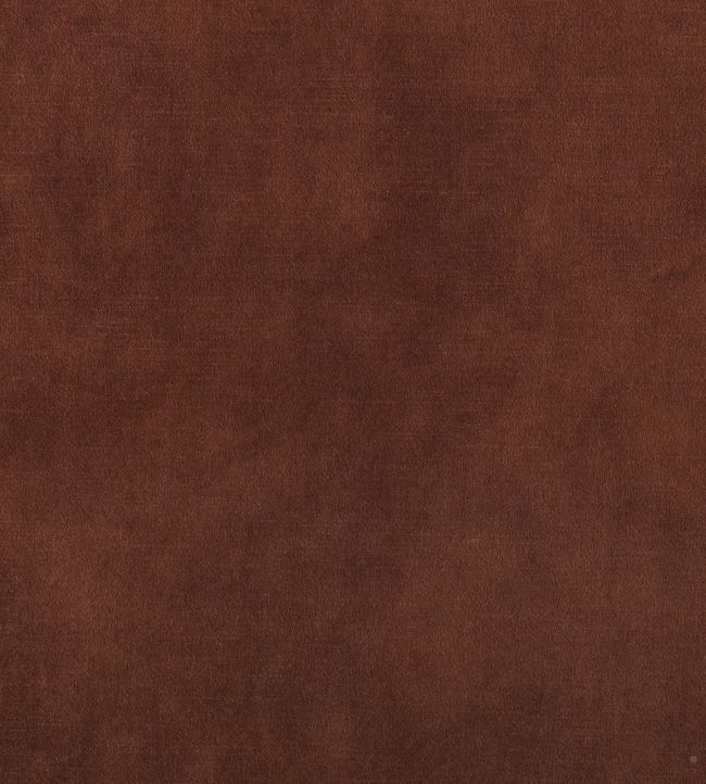 Lovely Fabric by Warwick in Umber | Jane Clayton