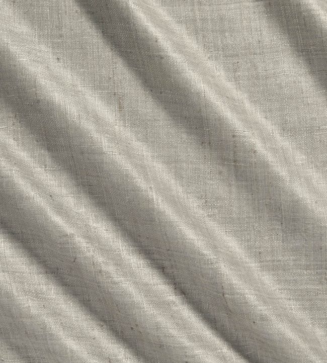 Wild Silk Fabric in Antoinette by James Hare | Jane Clayton
