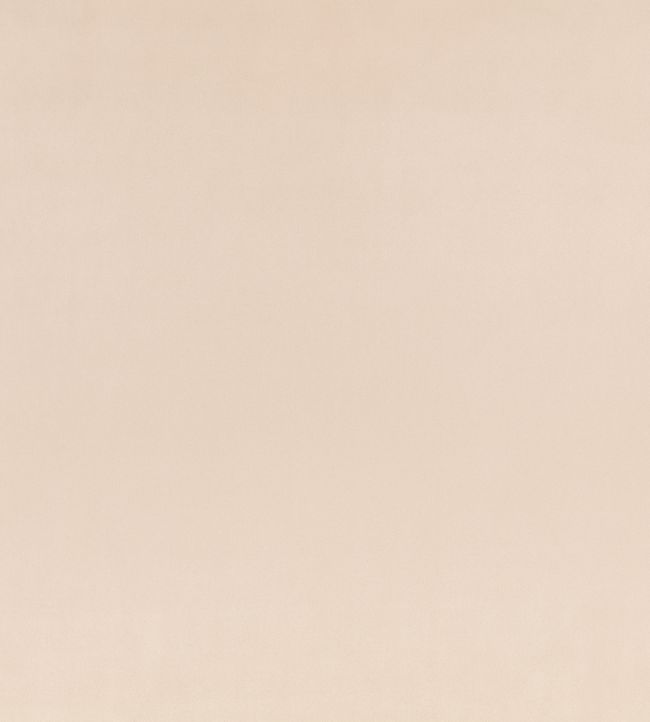 Z Suede Fabric in Linen by Zinc | Jane Clayton